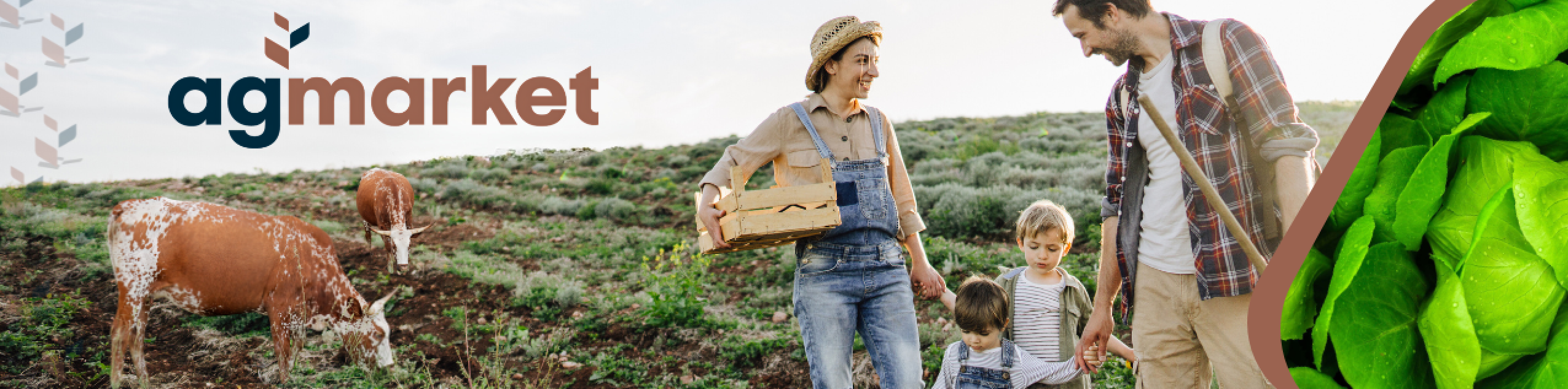 AgMarket - SA Farmers' Online Store