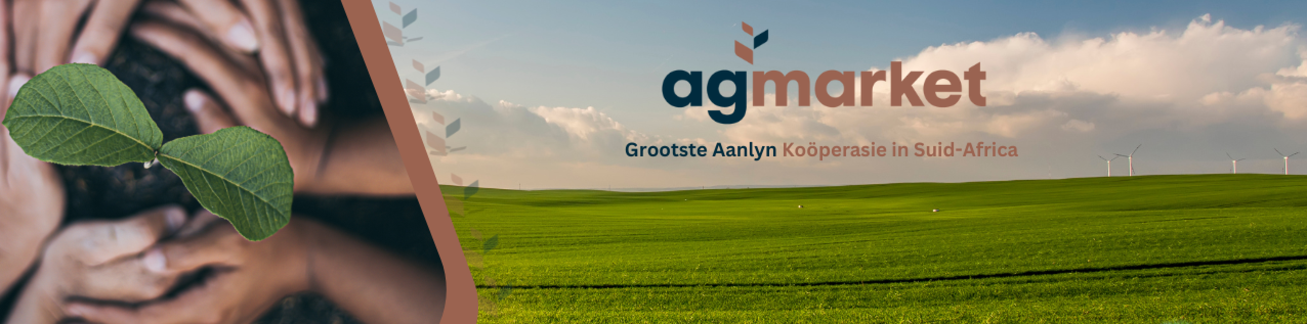 AgMarket - SA Farmers' Online Store